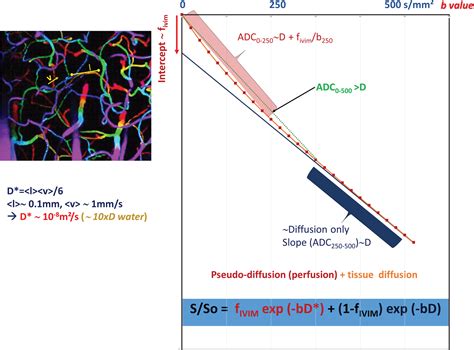 General Principles And Challenges Of Diffusion Mri Radiology Key
