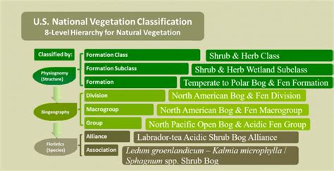 Us National Vegetation Classification Department Of Natural Resources