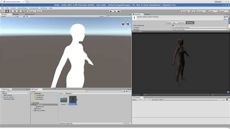 Solved Imported Character On Preview Window Is Ok But On Scene Is