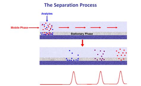 What Is Hplc And How Does It Work Science Unfiltered