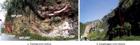 Typical Transpressional Faults And Fault Propagation Folds Download Scientific Diagram
