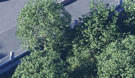 D5渲染后的图怎么像是添加了一层杂色呢？？6k的图 互助小组 D5渲染器