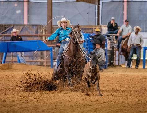 Podcast Breakaway Futurity 101 With Cheyanne Mccartney