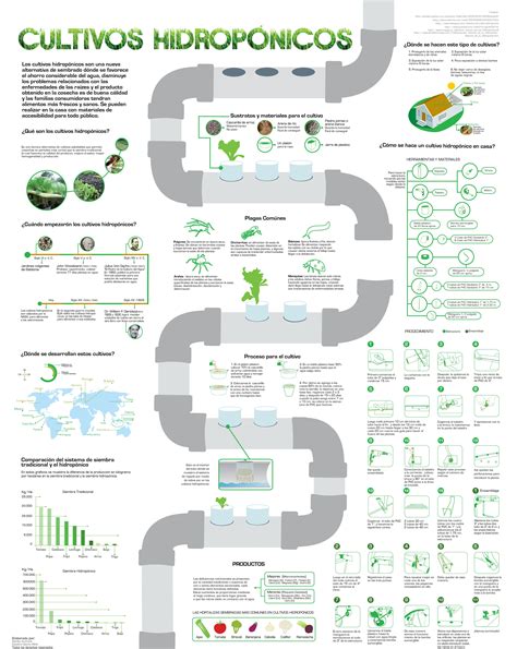 Infografía De Cultivos Hidropónicos Historia Tipos Y Pasos Sistema