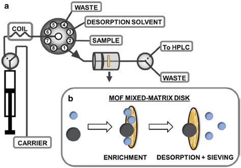 Representation Of The Developed Setup For The Implementation Of