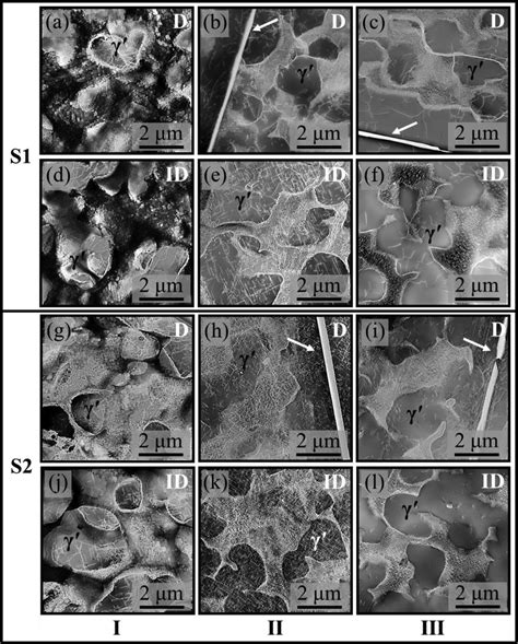 Dislocation Substructures In Regions Ⅰ Ⅱ And Ⅲ Of S1 And S2 A F