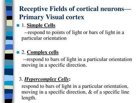 Ppt The Visual System Powerpoint Presentation Free Download Id495943