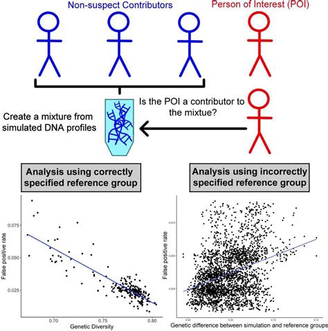 Decreased Accuracy Of Forensic Dna Mixture Analysis For Groups With Lower Genetic Diversity