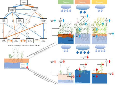 黄河三角洲滨海湿地生态试验站