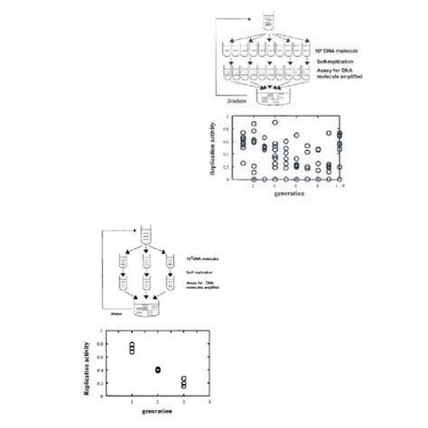 Illustration Of In Vitro Autonomous Replication System Consisting Of