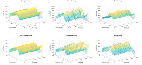Human Activity Recognition When The Signals Pass Through The Wall