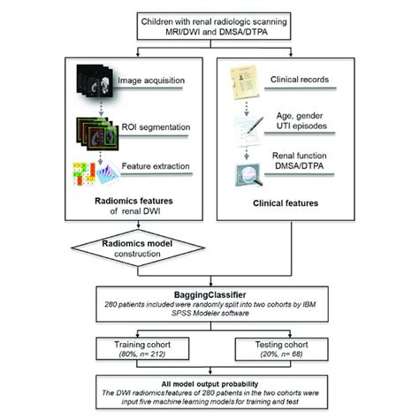 An Illustration Of The Machine Learning Models Based On Dwi Radiomics