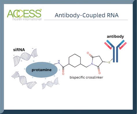 In Vivo Rna Injection A New Treatment For Cancer Autoimmune Disease And Gene Therapy Access