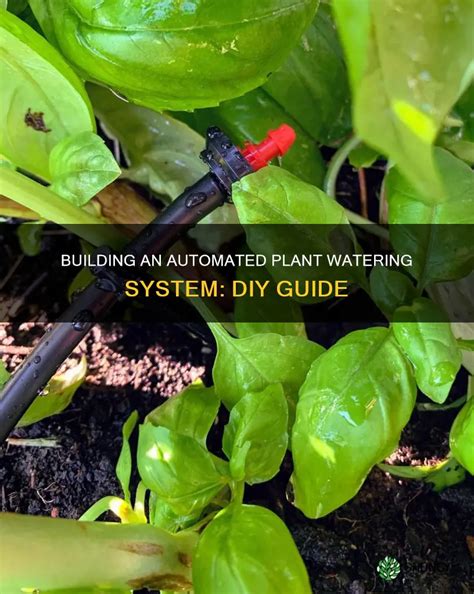 Building An Automated Plant Watering System Diy Guide Shuncy