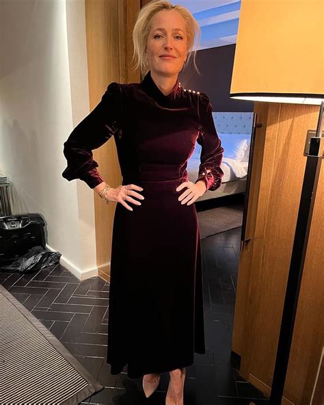 Who Is American Actress Gillian Anderson Her Movies Age