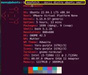 The Neofetch Command In Linux Practical Examples
