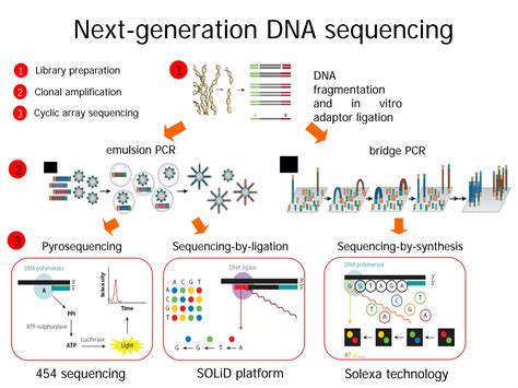 Introduction To Next Generation Sequencing Pdf