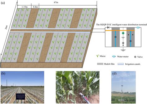 A Schematic Diagram Of The Experimental Field B The Sampling Field And
