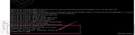 关于redis Server服务启动之后，无法再输入linux命令的问题linux程序启动后怎么继续输入程序 Csdn博客
