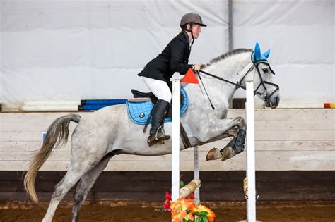 Приглашаю на занятия верховой ездой Красносельский и Волосовский районы Дипломированный тренер