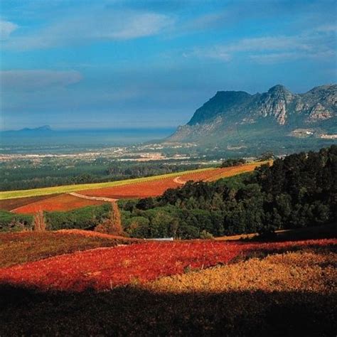 Magnificent Constantia Valley In Cape Town Offers Great Wines