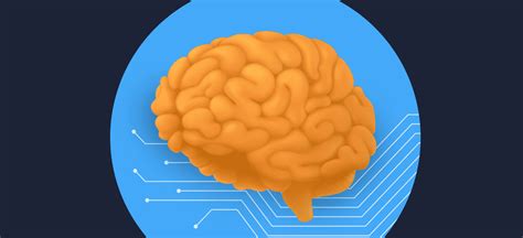 Къде се прилага Data Science