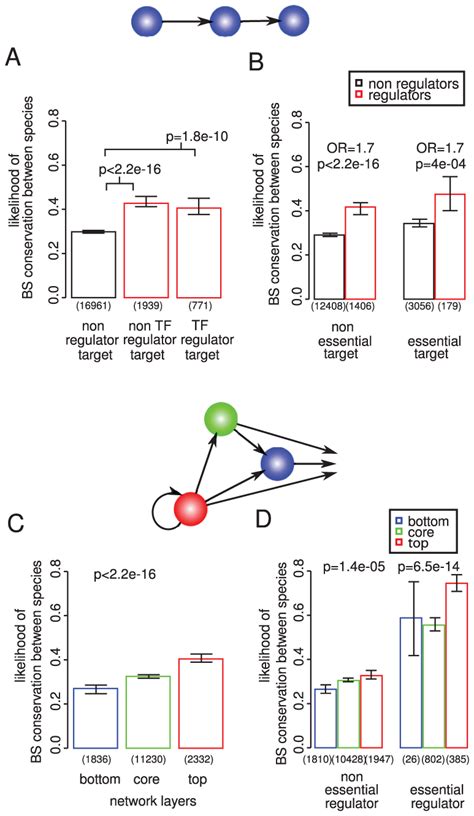 TF Binding Sites In The Promoters Of Regulatory Genes TF Binding Sites Download Scientific