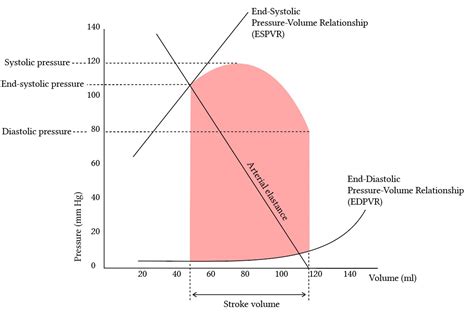 Ventricular Pressure Volume Loops Deranged Physiology