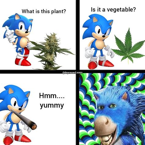 Funny Sonic Memes