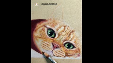 고양이는 색연필로 그리세요 비비moms색연필작업실 Coloredpencil 색연필그림 고양이그림 Cat Youtube
