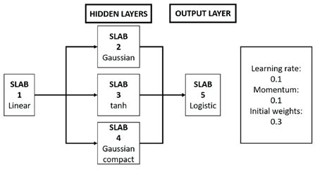 Structure Of The Selected Neural Network Download Scientific Diagram
