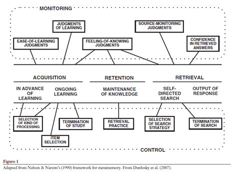 Self Regulated Learning And Forgetting