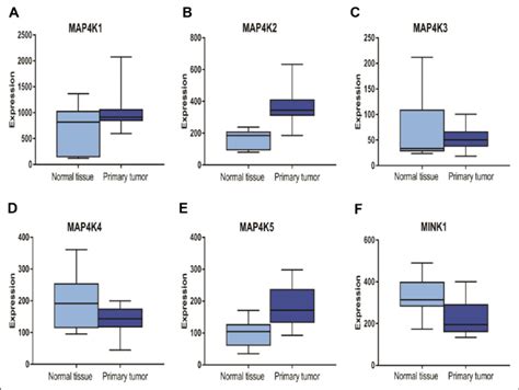 Metabolic Gene Rapid Visualizer Boxplots For Map4k Gene Expression In Download Scientific