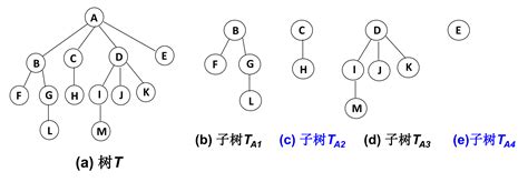 【数据结构】41 树和二叉树的基本概念与性质树和二叉树的定义和术语 Csdn博客 【数据结构】41 树和二叉树的基本概念与性质树和二叉树的定义和术语 Csdn博客