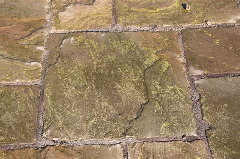 How Do I Get Rid Of Green Algae On My Patio Rob Parker S Best