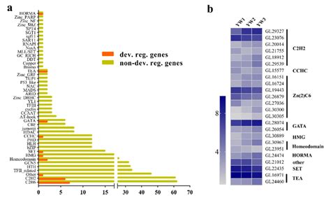 expression of genes coding for transcriptional regulators a