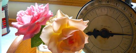 Seeing Through Rose Colored Glasses