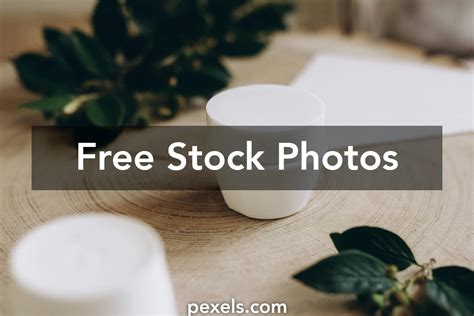 Biodegradable Containers Photos Download The Best Free Biodegradable