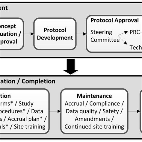 Timelines For Steps In The Protocol Development And Activation Process