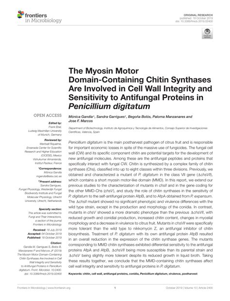 Pdf The Myosin Motor Domain Containing Chitin Synthases Are Involved In Cell Wall Integrity