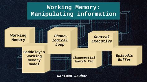 working memory manipulating information by nariman jawhar on prezi