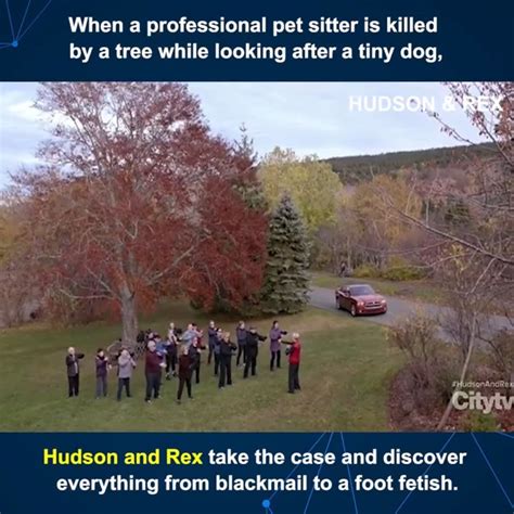 Hudson And Rex S5e1 ∙ Lost In The Barrens Hudson And Rex S5e1 ∙