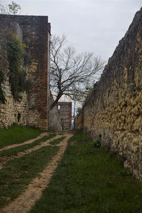 Bare Tree Growing Sideways On A Dirt Path Bordered By Fortifications On A Cloudy Day Stock Photo