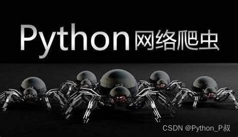 超详细python爬虫学习路线 Csdn博客