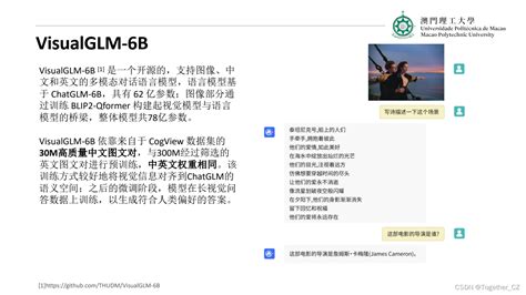 《xrayglm：基于visualglm 6b微调训练对x光胸片进行医学诊断》学习分享与本地项目微调部署实践 csdn博客