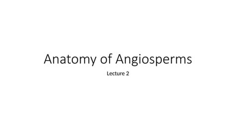 Anatomy Of Angiosperms Beginners Lecture 2pptx