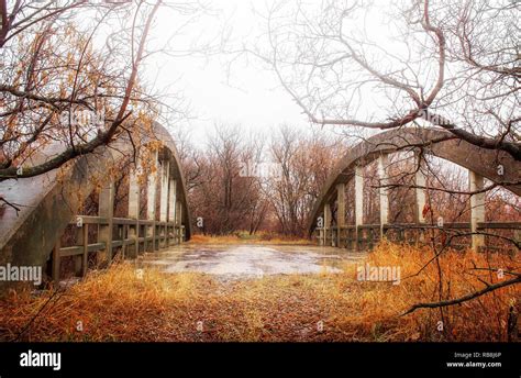 An Old Abandoned Cement Bridge With Arches On Outer Sides Surrounded By Bare Wet Trees In An