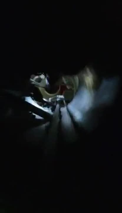 Jo Tyler On Linkedin That Looks Really Neat But A Bit Scary Too I Bet You Liked It Eric