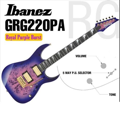 Ibanez Rg Gio Grg220pa Electric Guitar Royal Purple Burstrlb