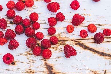 딸기 라즈베리 신선한 나무 Hd 배경 화면 Wallpaperbetter